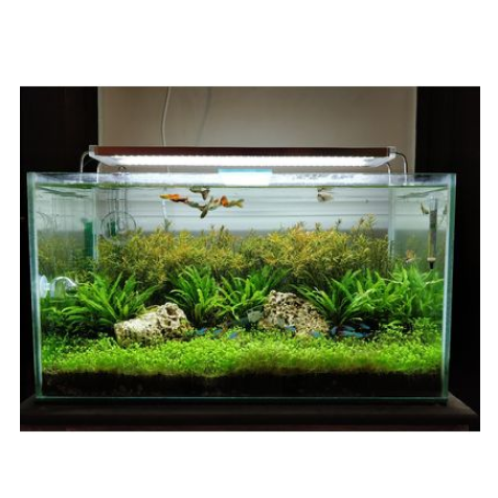 Sunsun Planted Tank Led Light – Aquanature Online