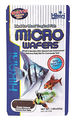 Hikari Micro Wafers Fish Food – Aquanature Online