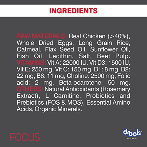 Drools Focus Adult Super Dog Food – Aquanature Online