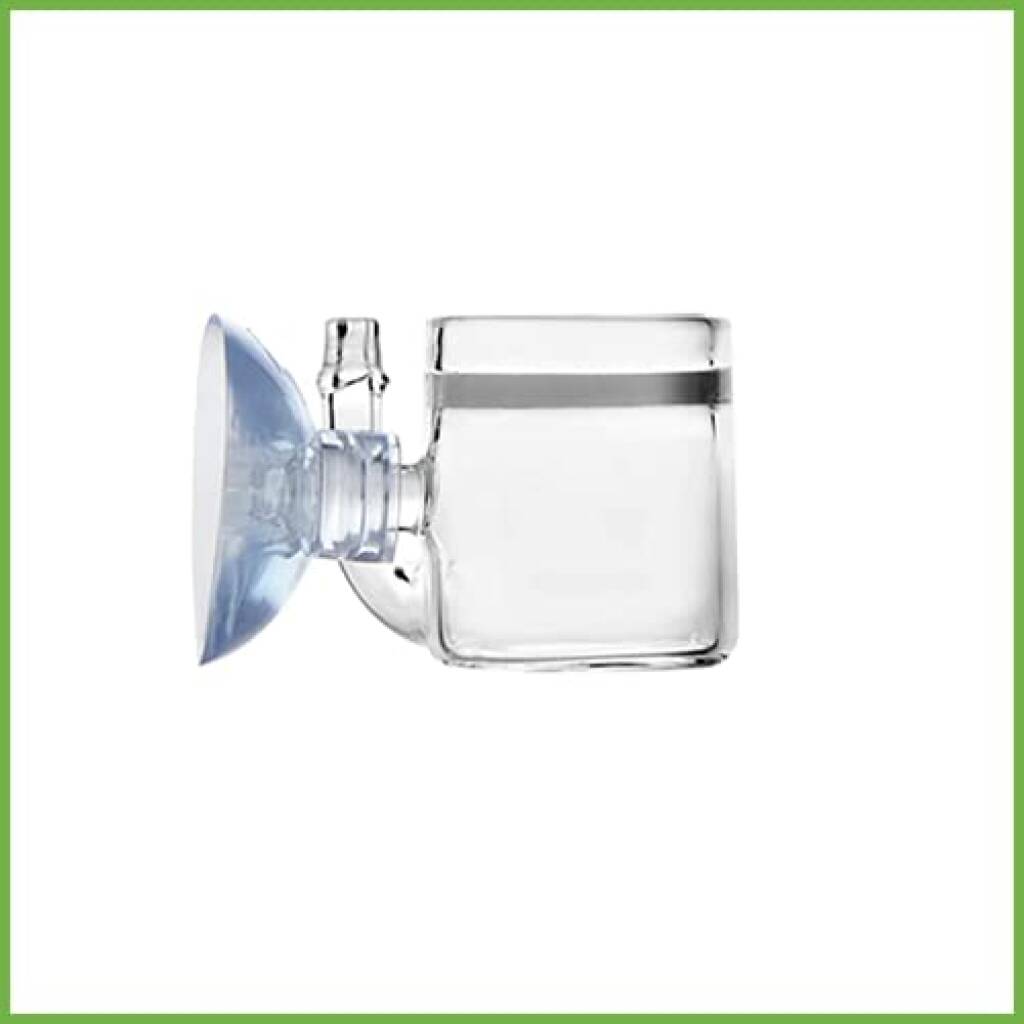 AquaNature Flat Bottom Glass Co2 Diffuser for Planted Aquarium ...