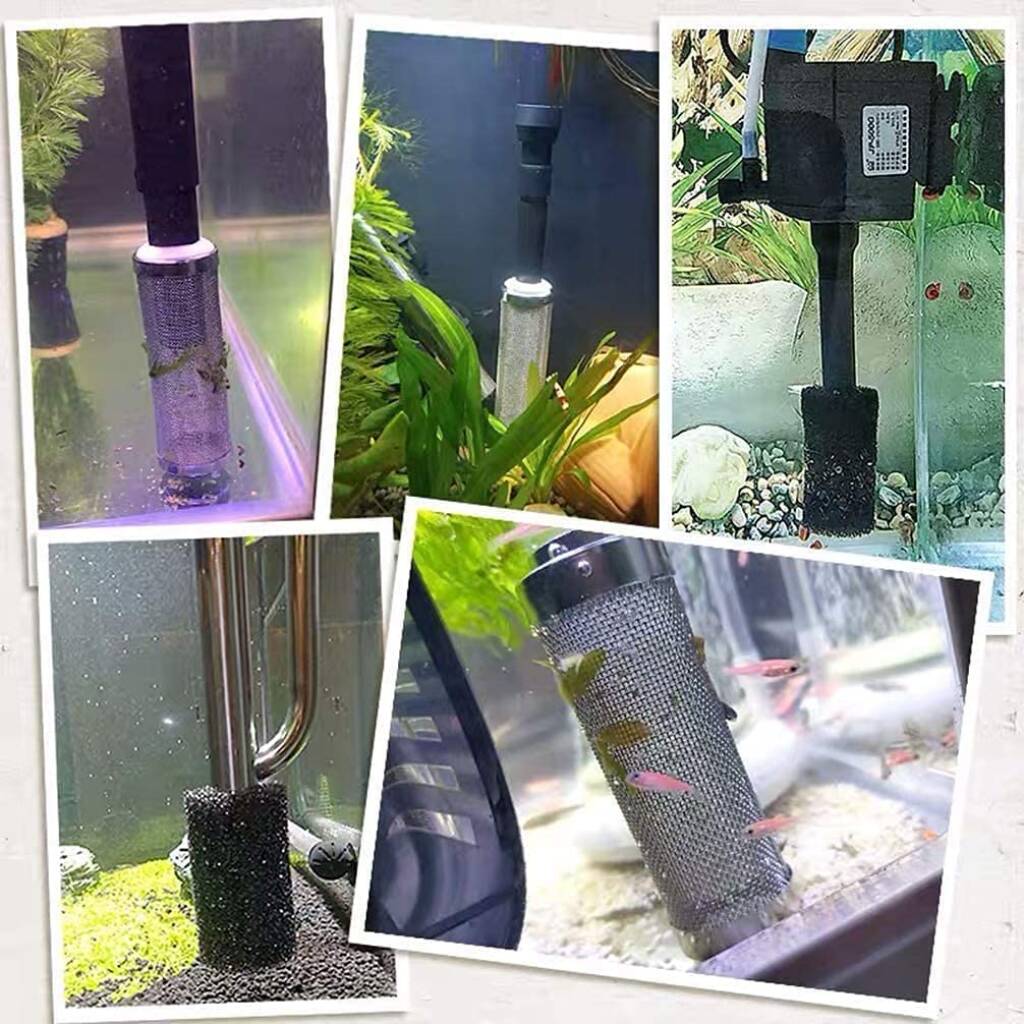Aquarium Stainless Steel Shrimp and Small Fish Guard Mesh Filter ...