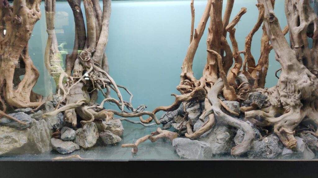 Gallery - Aquanature Online