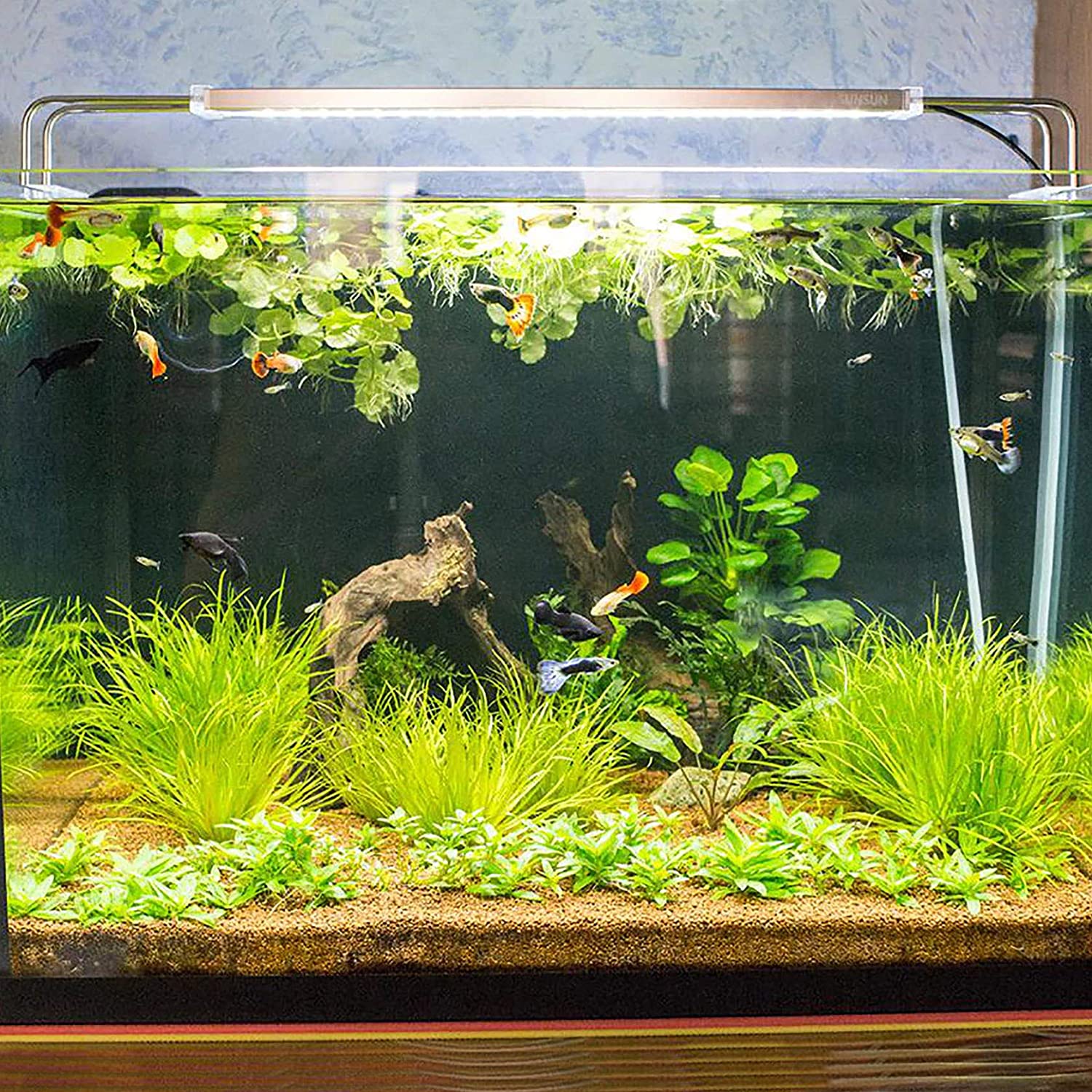 Sunsun LED Light For Planted & Tropical Aquarium ADE Series ...