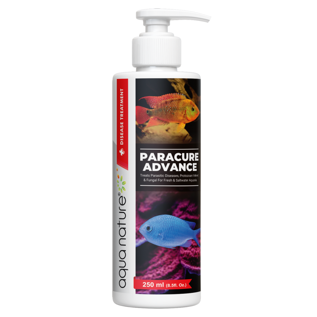 AquaNature Paracure Advance Treats Parasitic Diseases,Protozoan Velvet ...