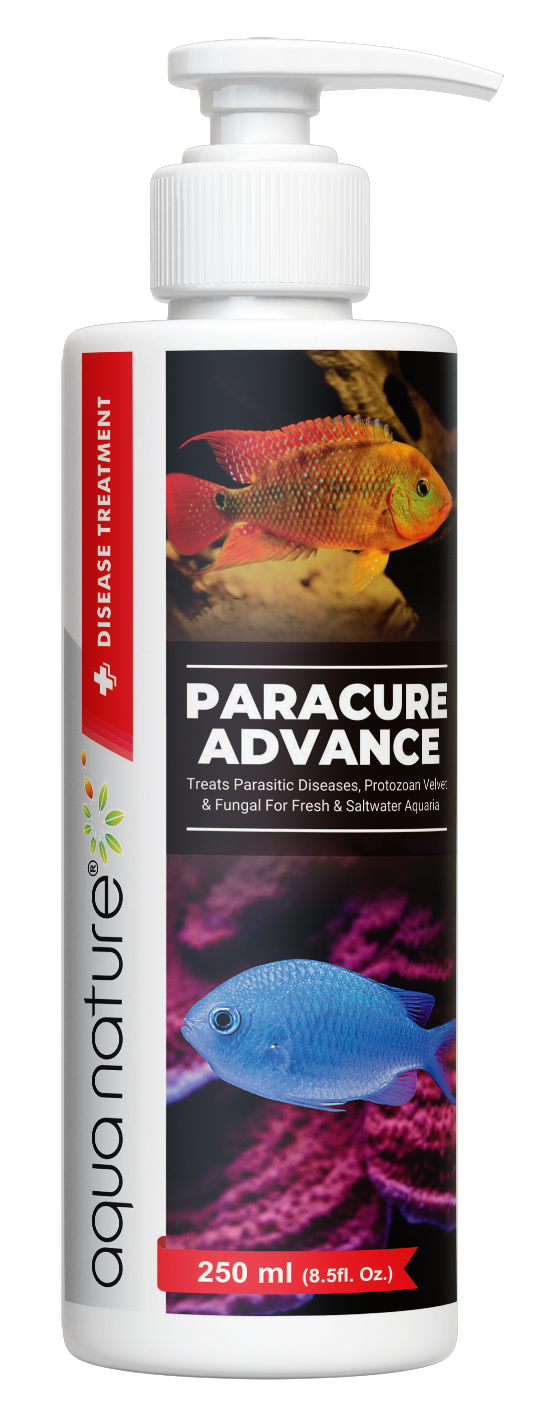 AquaNature Paracure Advance Treats Parasitic Diseases,Protozoan Velvet ...