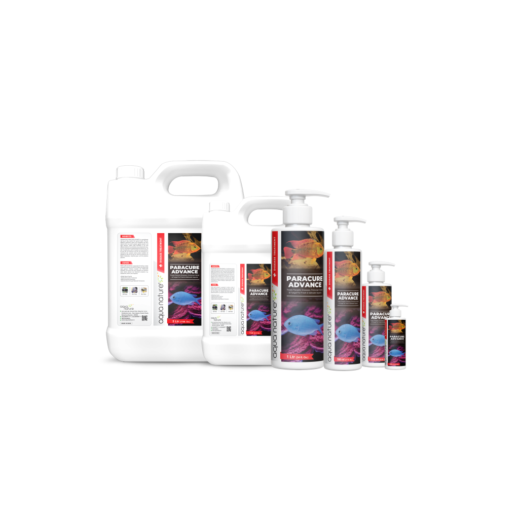 AquaNature Paracure Advance Treats Parasitic Diseases,Protozoan Velvet ...