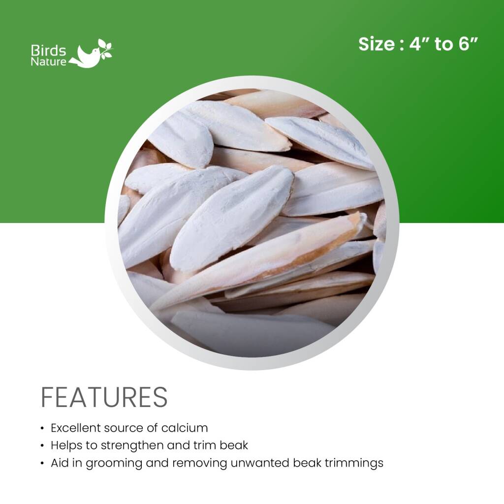 BirdsNature Cuttlefish Bone For All Birds , High Calcium Mineral Block ...