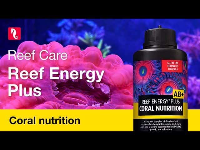 Red Sea Reef Energy Plus All-in-One Coral Superfood AB+ 1000 ml ...